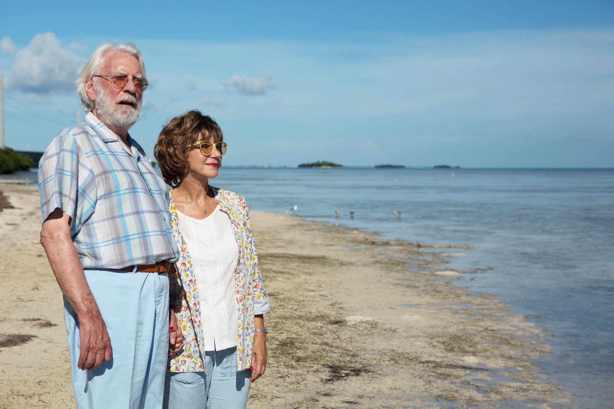 The Leisure Seeker, an art film - My View by Robyn Sassen and other writers