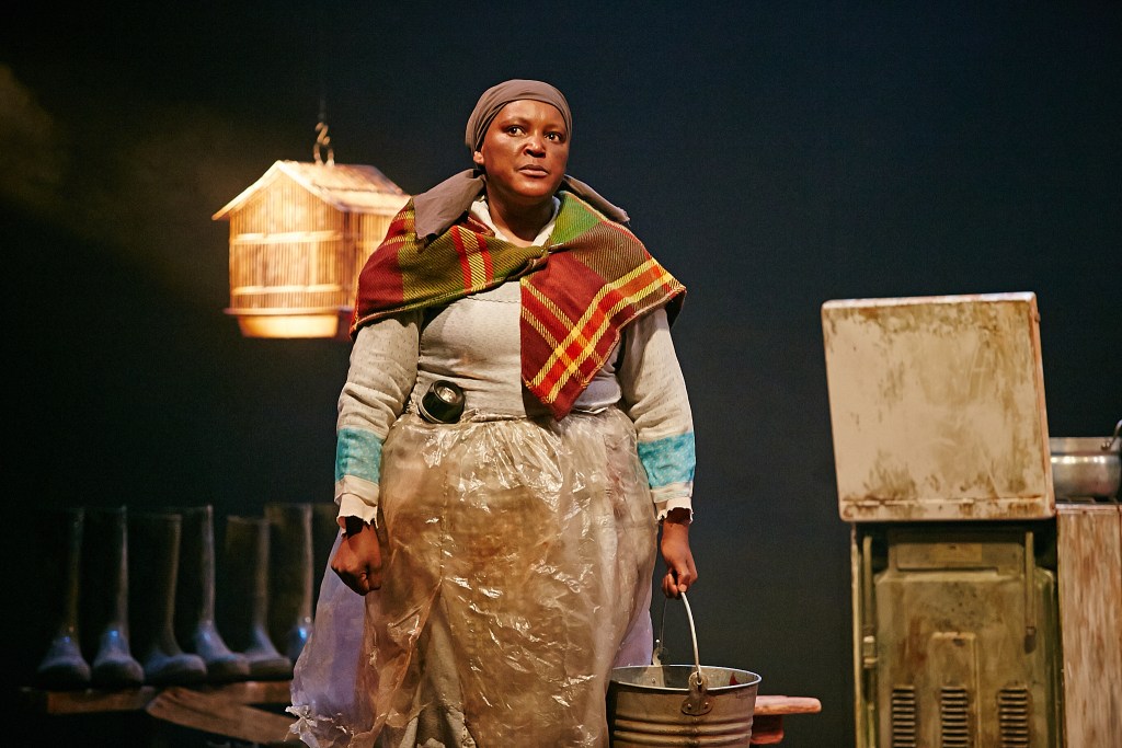Tribute to Zoleka Helesi - My View by Robyn Sassen and other writers