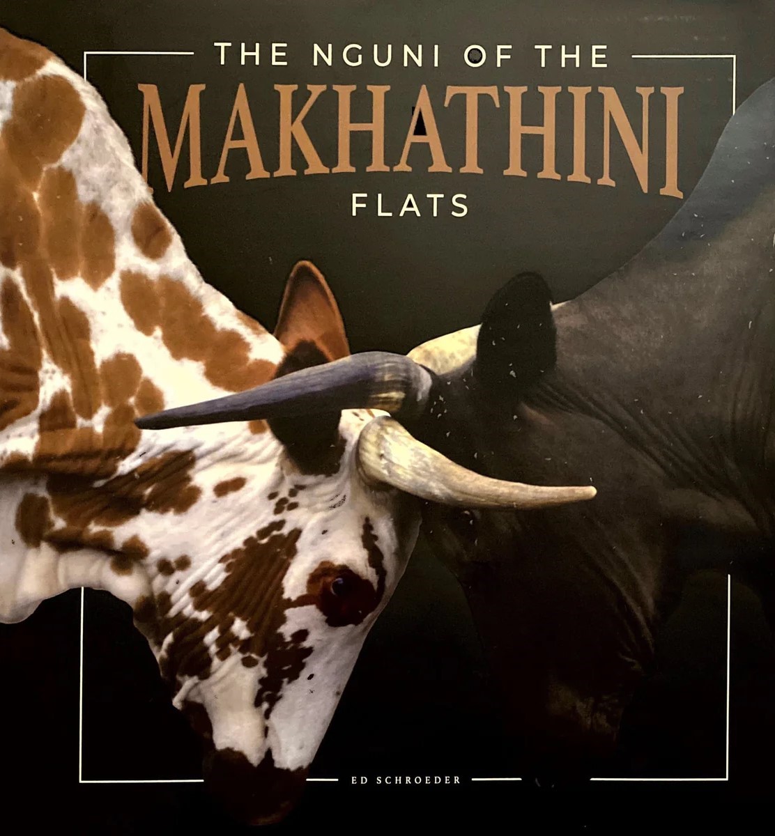 Makhathini Flats - My View by Robyn Sassen and other writers