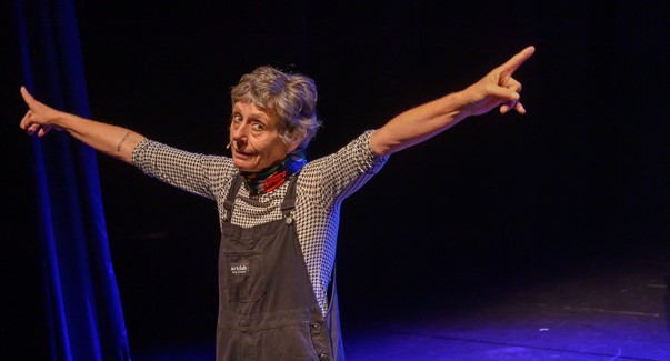 Of anarchy, hadedas on Tik and a pile of books - My View by Robyn ...