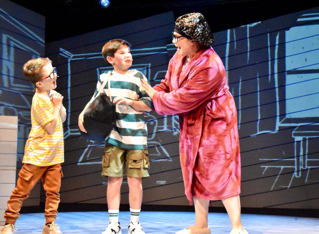 Diary of a Wimpy Kid directed by Vicky Friedman - My View by Robyn ...