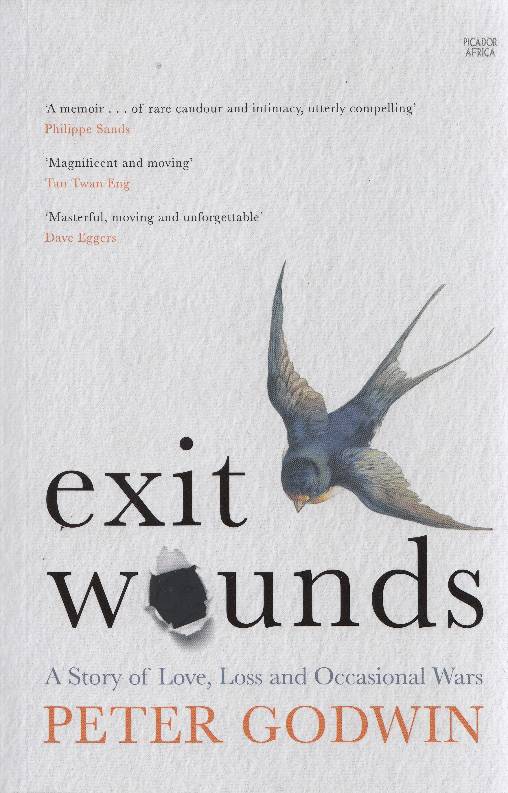 Exit Wounds by Peter Godwin - My View by Robyn Sassen and other writers