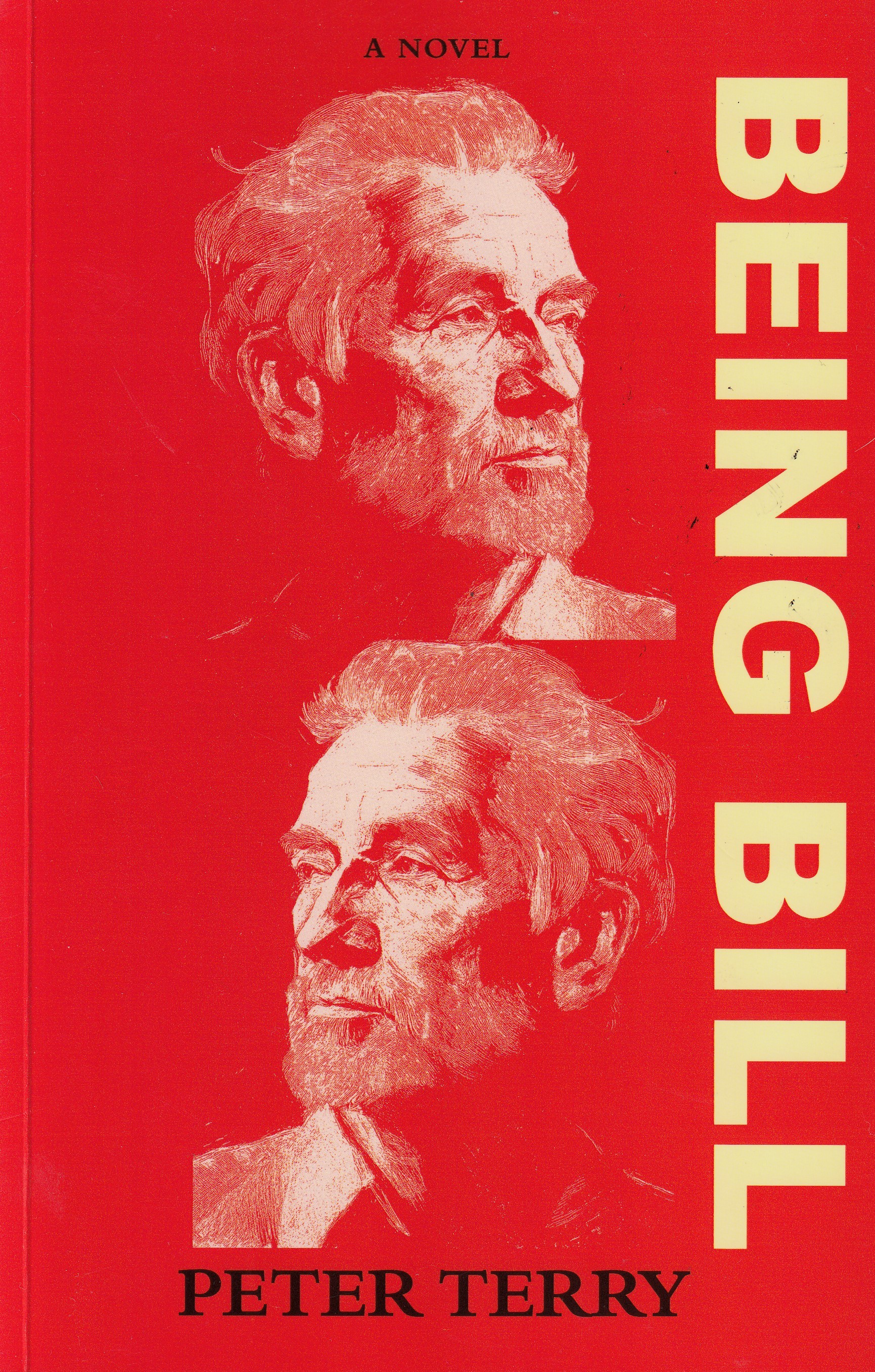 Peter Terry's debut novel 'Being Bill' - My View by Robyn Sassen and ...